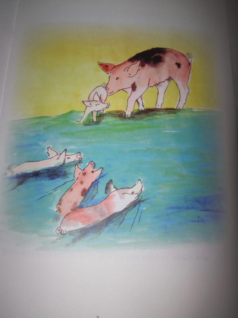 Heather Rand, The Author – Windswept IV