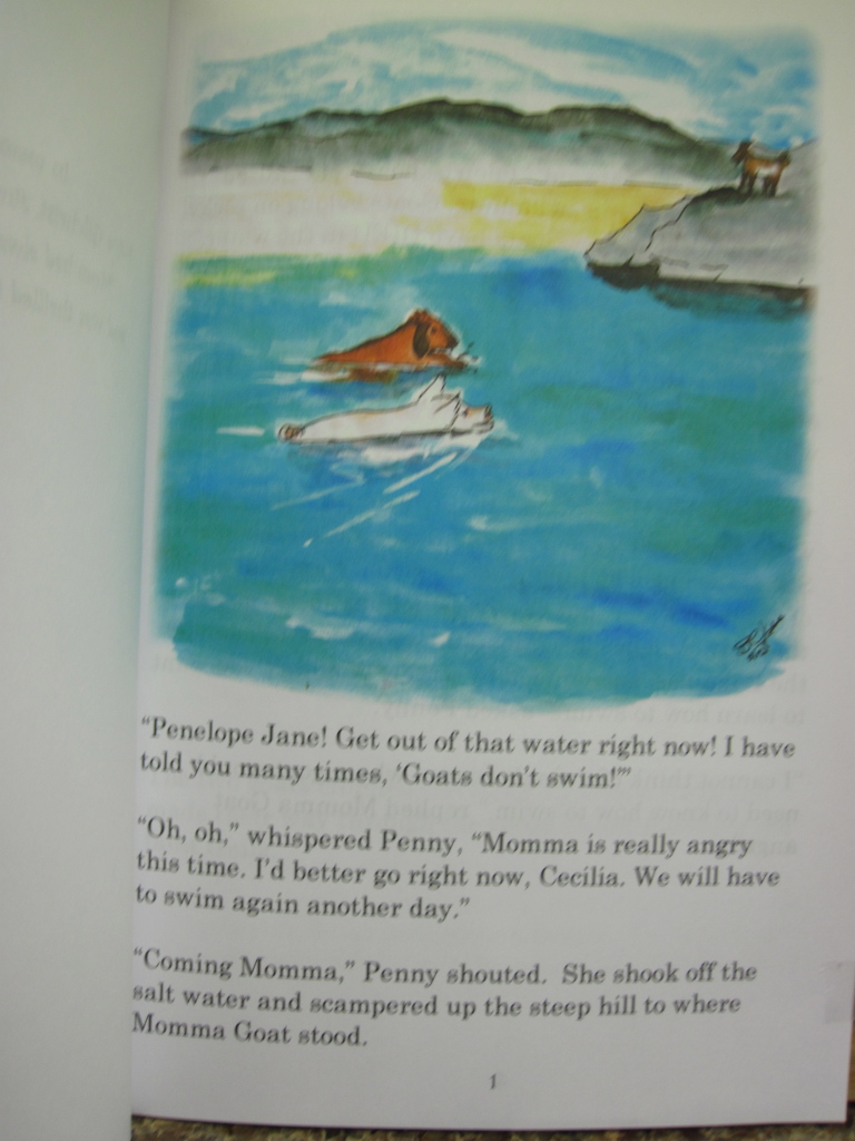 Heather Rand, The Author – Windswept IV